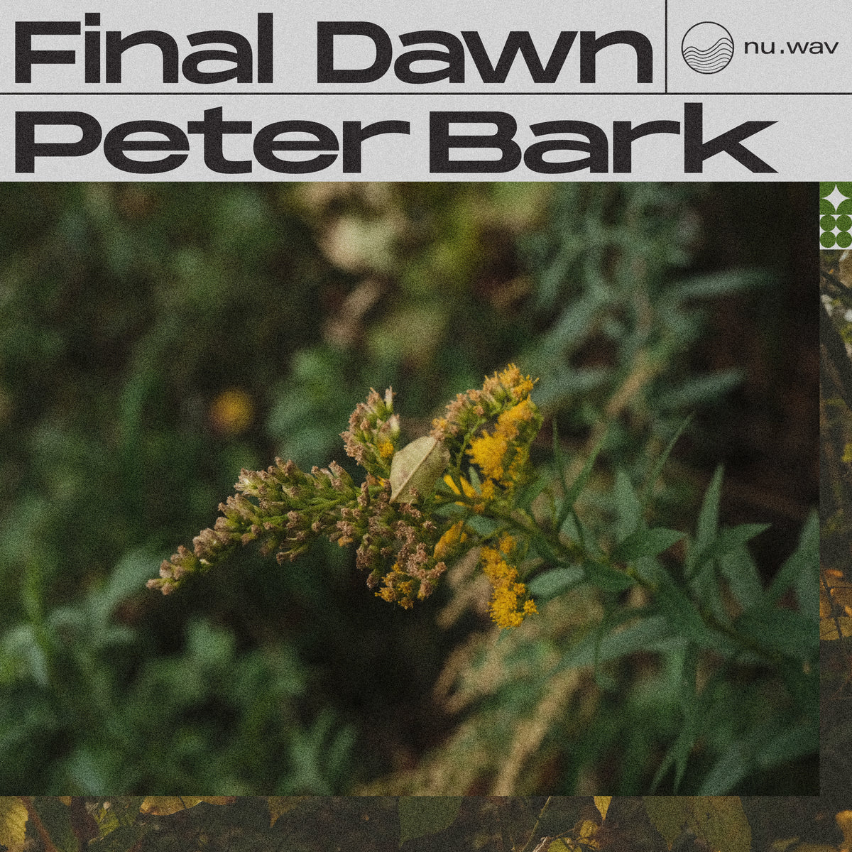 Peter Bark: Final Dawn – nu.wav lab
