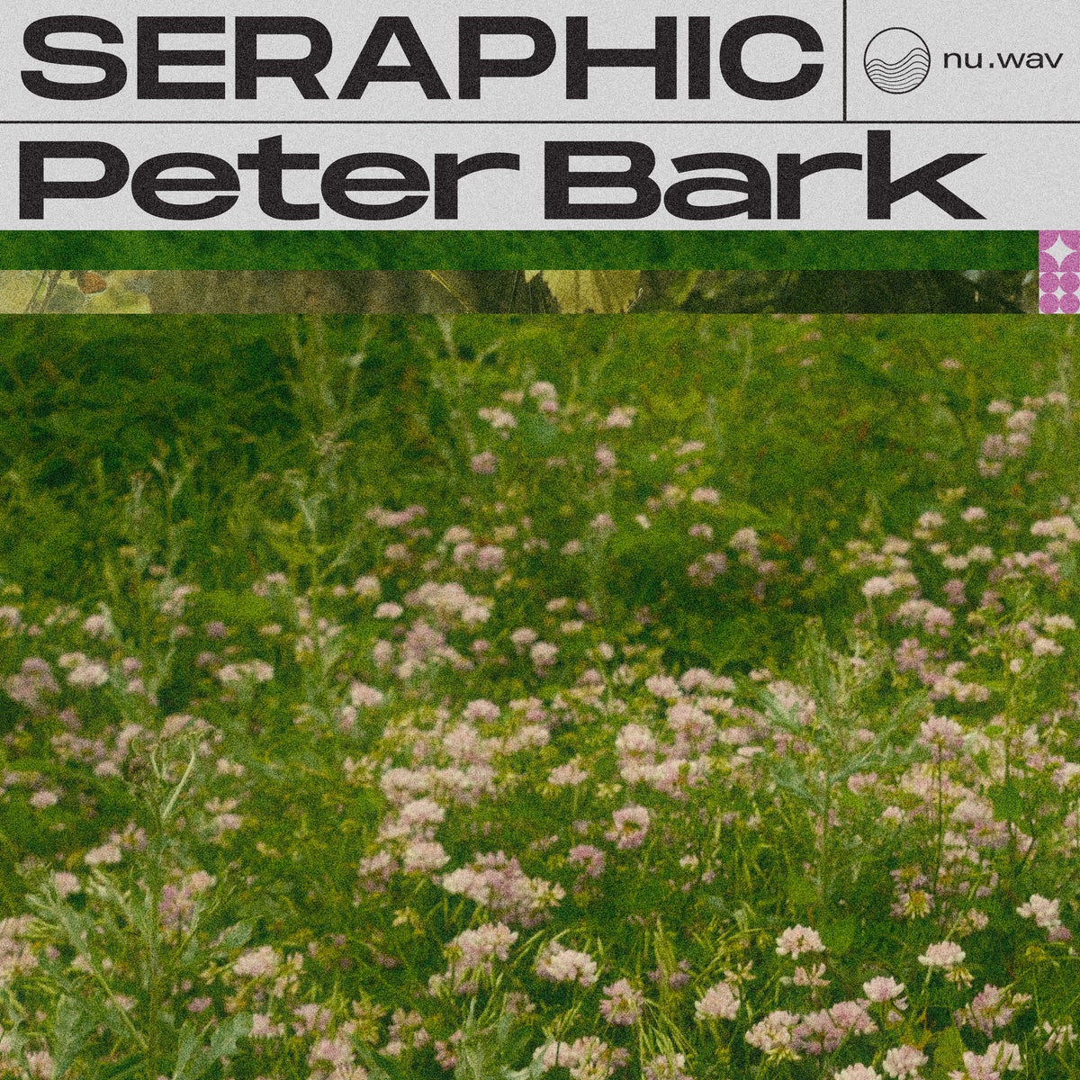 Peter Bark: Seraphic – nu.wav lab