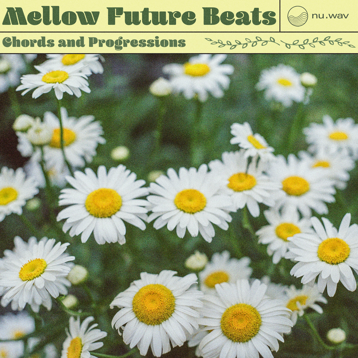 Mellow Future Beats: Chords and Progressions – nu.wav lab
